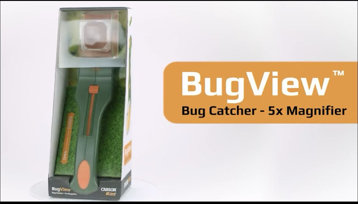 From My Lanai - Burnt Store Lakes